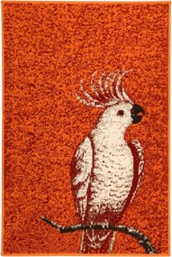 TRHÁK: Kusový koberec Kakadu orange, 190x280, oranžová, detská izba, Alfa Carpets
