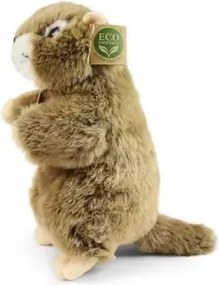 Rappa Plyšový svišť 23 cm / ECO-FRIENDLY / od 0 let