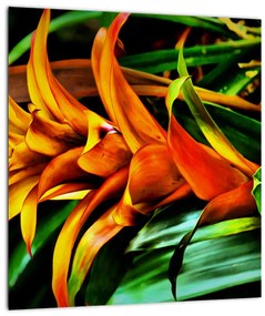 Obraz oranžové kytice (30x30 cm)