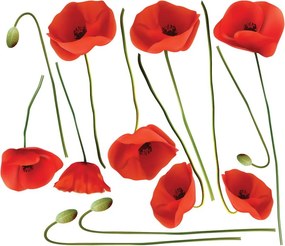 Sada samolepek na zeď Ambiance Vermeil Poppies, 60 x 70 cm