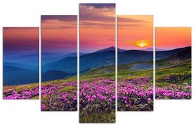Obraz na plátně pětidílný Krajina při východu slunce - 150x100 cm