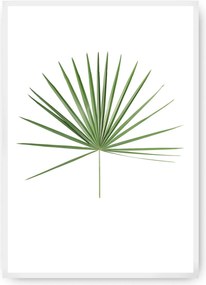 Plakát Tropical Leaf Green
