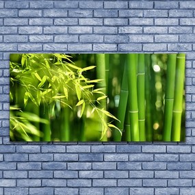 akrylový obraz Bambus Listy Rostlina 120x60 cm