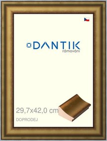 DANTIK rámeček 29,7x42 | Doprodej | METAL AU prohlá velká (Plexi Čiré)