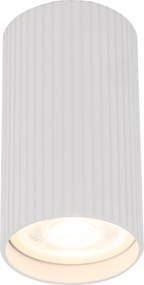 TK Lighting Bílé stropní svítidlo Tune S 55mm pro žárovku GU10 TK10023