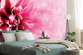 Samolepící tapeta růžový květ - 450x300 cm