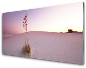 Obraz na skle Poušť Písek Krajina 140x70 cm