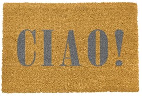 Rohožka z přírodního kokosového vlákna Artsy Doormats Ciao Grey, 40 x 60 cm