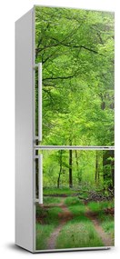 Wallmuralia Nálepka na ledničku samolepící Zelený les 60x180 cm