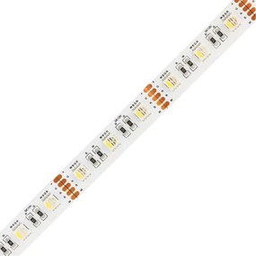 LED pásek McLED 24V RGBW WW teplá bílá 12mm IP20 19,2W/m ML-128.635.60.2
