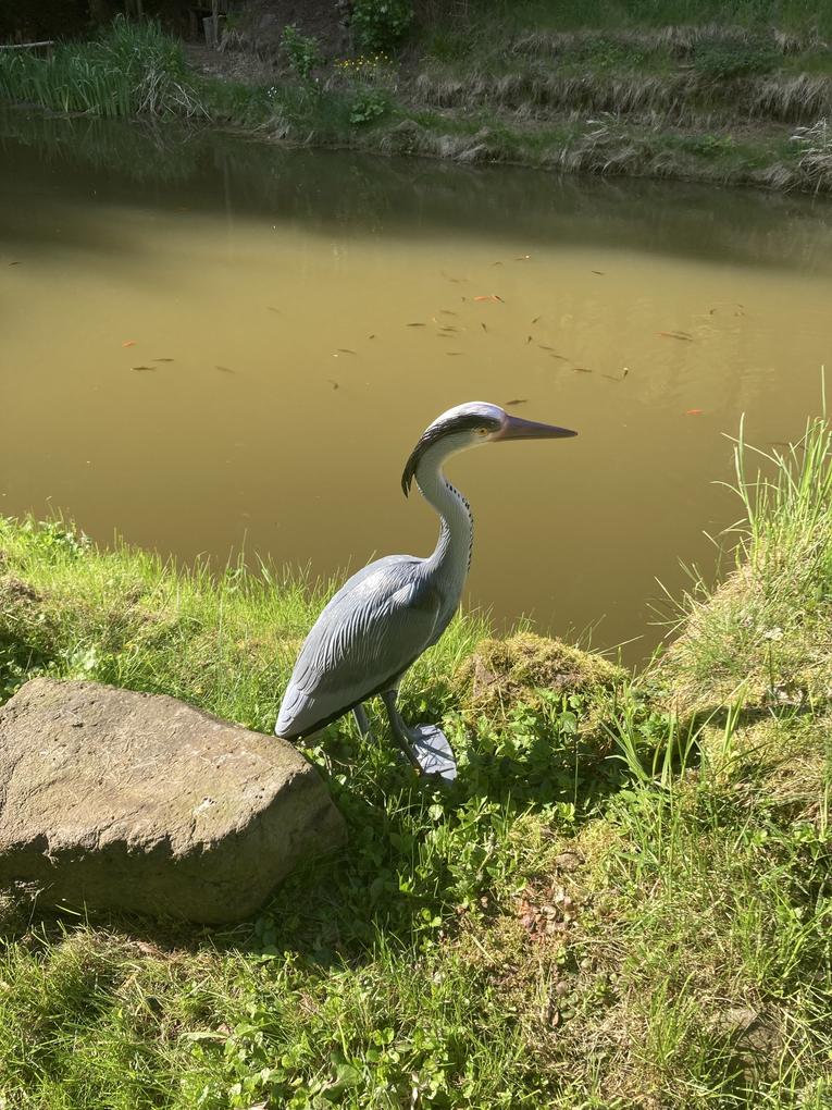 Uživatelská fotografie